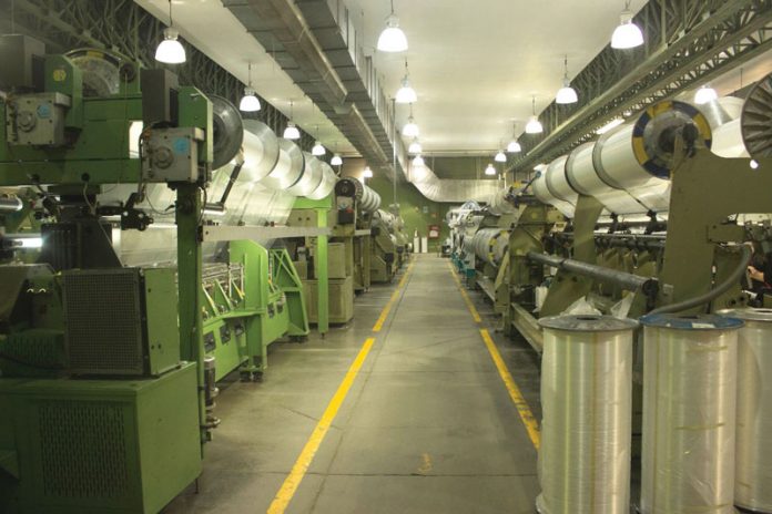 Diltex Brands: Empresa Mexicana Multimarca de Moda Consciente ...